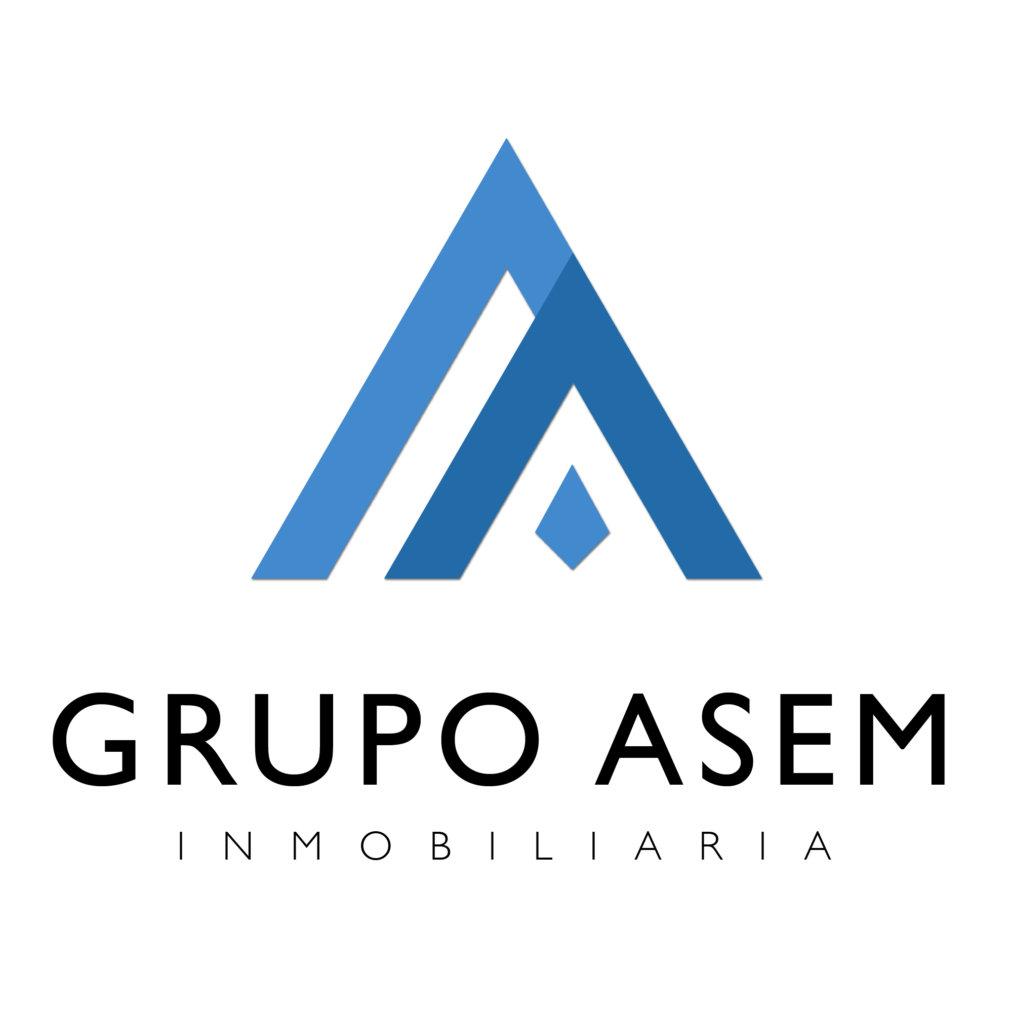 Nosotros – Grupo ASEM